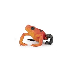 PAPO EQUATORIAL RED FROG – Simply Wonderful Toys